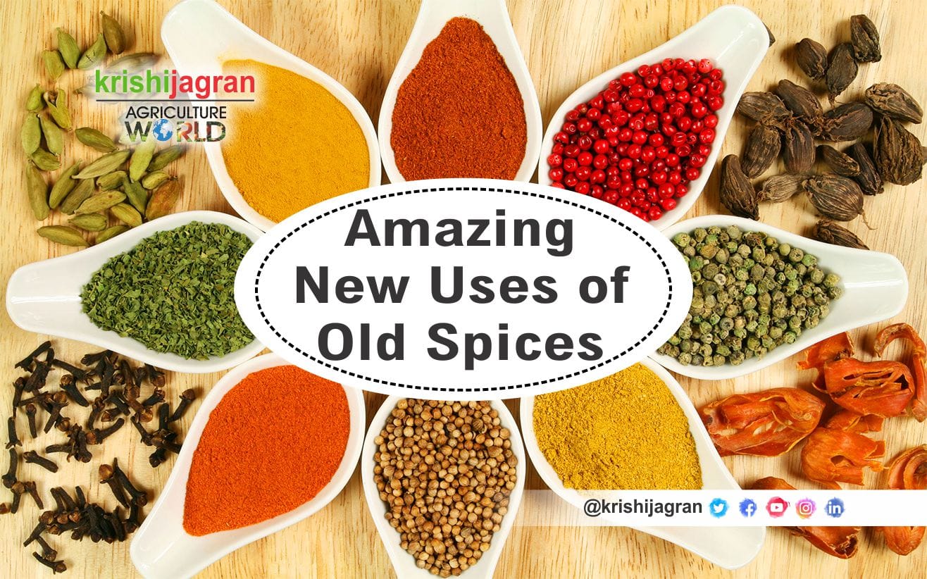 New from the Old: Know how to Use your Old Spices!