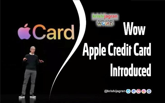 Apple Launches Apple Card, Its Own Credit Card, Cash Back & Much More ...