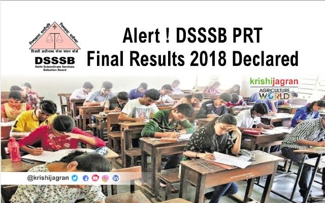 DSSSB Teacher (Primary) Final Result 2018 Out: Direct Link to Check ...