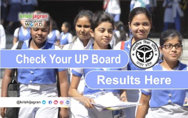 UP Board Results 2019: UPMSP to Declare Class 10th, 12th Results on ...