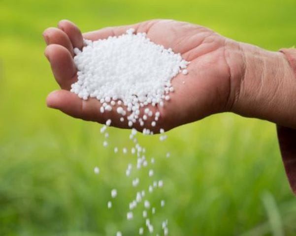 Centre to Consider Fixing Nutrient-based Subsidy Rate for Urea