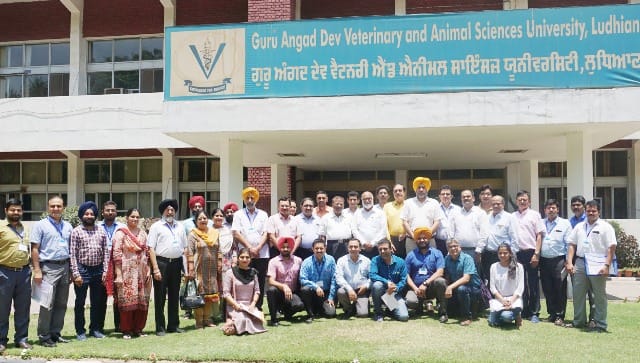 Canine Nutrition, Tuberculosis, Development of Biomaterials for Root ...