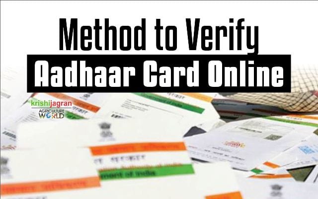 Aadhaar Card Verification: Here’s the Easiest Way to Verify Aadhaar ...