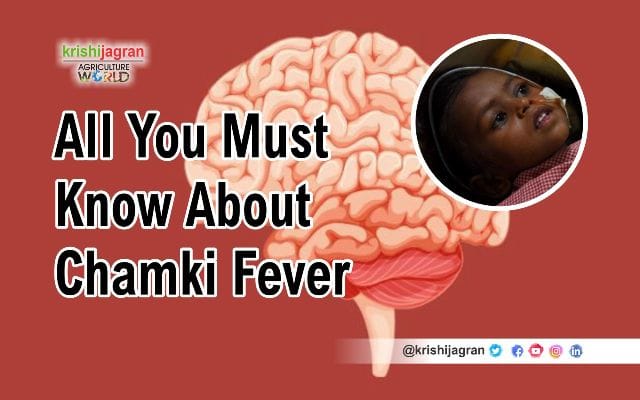 What is Encephalitis or Chamki Fever? Know its Signs, Symptoms, Causes ...