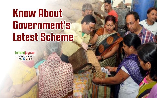 One Nation One Ration Card - All You Need to Know About Government’s ...