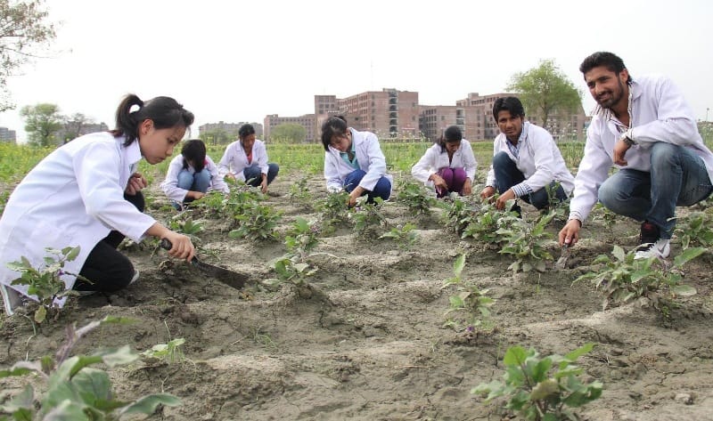 Study Agriculture for a successful career