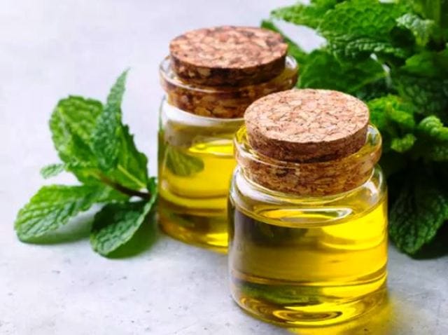 A Mentha Oil Awareness Programme