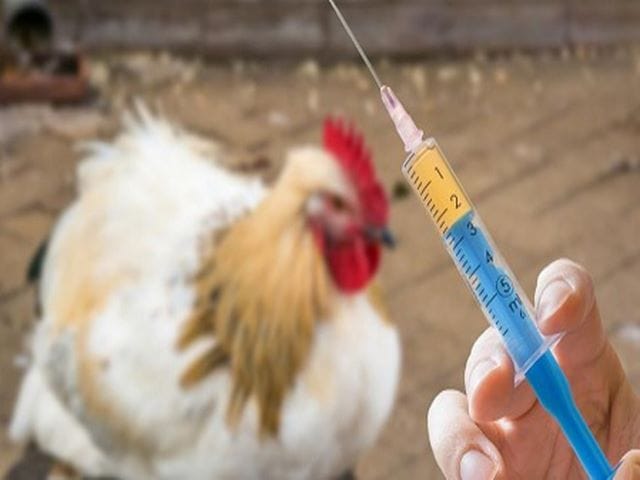 Centre for Science and Environment (CSE) Welcomes Ban on Colistin