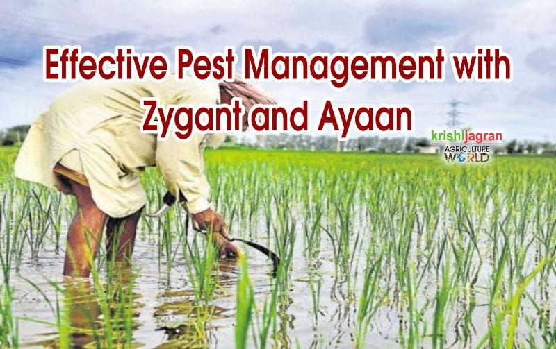 Rallis India Launches Two New Products - Zygant & Ayaan for Farmers in ...
