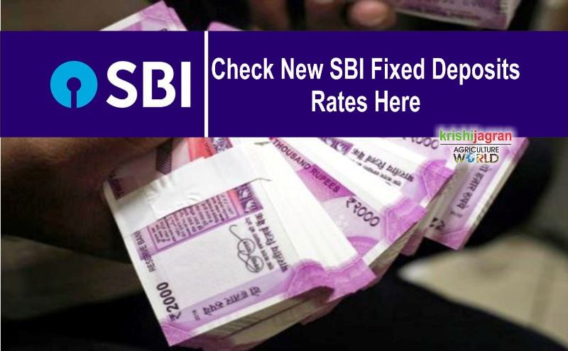SBI Customers Alert!!! State Bank of India Revises Interest Rates on ...