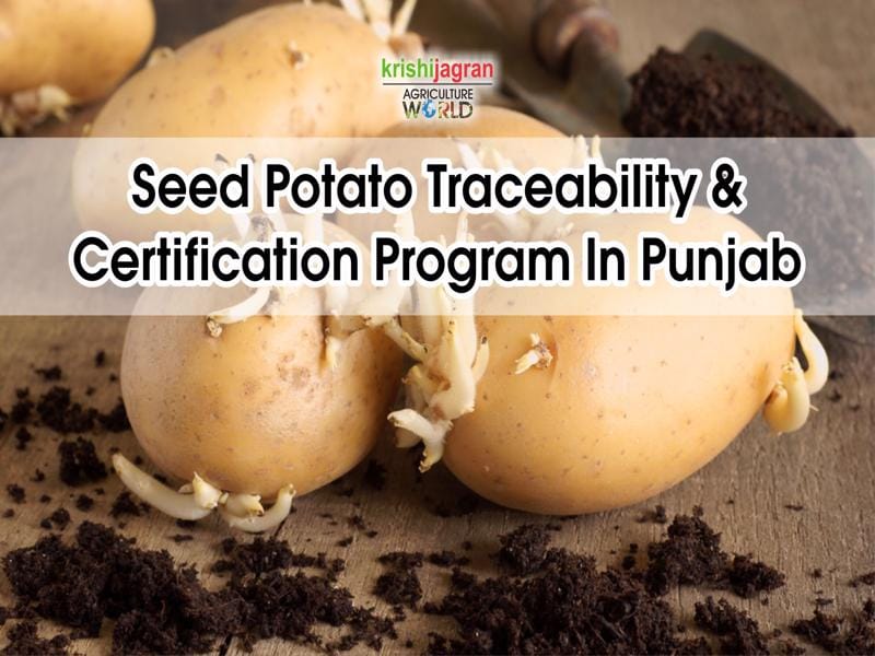 Government of Punjab Announces Seed Potato Traceability and ...