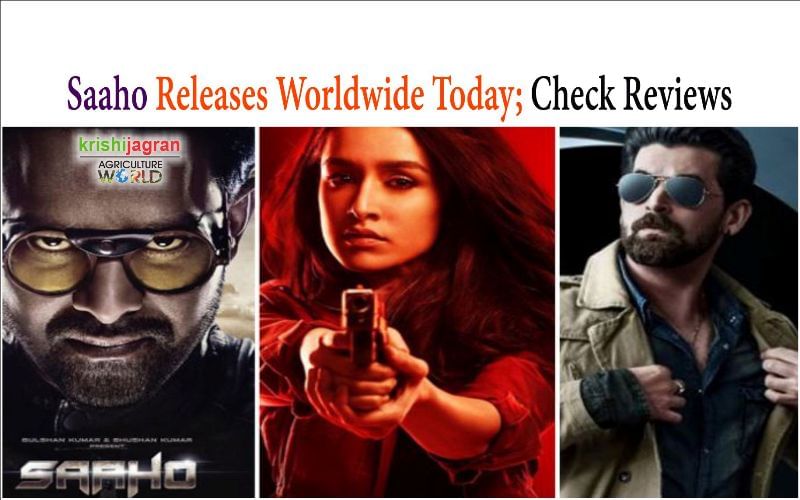 Saaho Review: Prabhas, Shraddha Kapoor Starrer Movie Gets Mixed ...