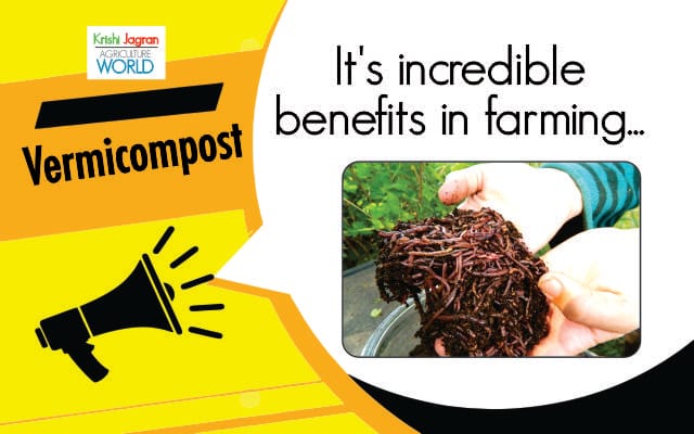 Know the Importance & Benefits of Vermicompost and Complete Process of ...