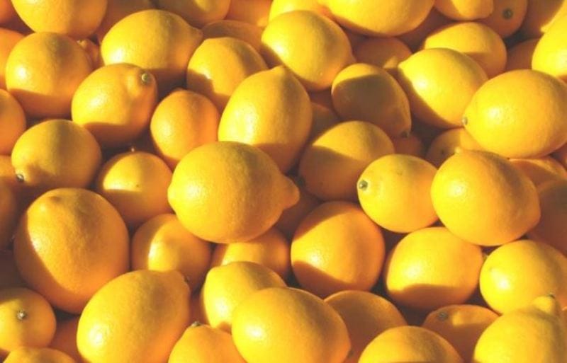 Fresh, Juicy Lemons from Argentina Arrives in India