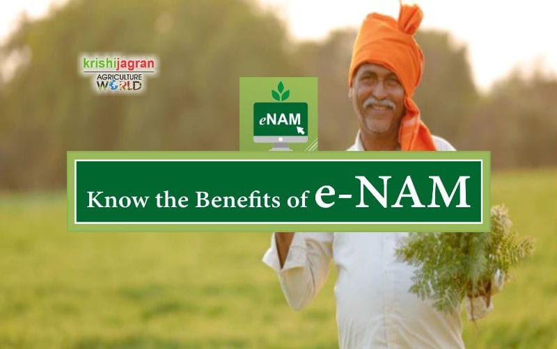 1.64 Crore Farmers Registered on e-NAM; Here's the Process of Selling ...