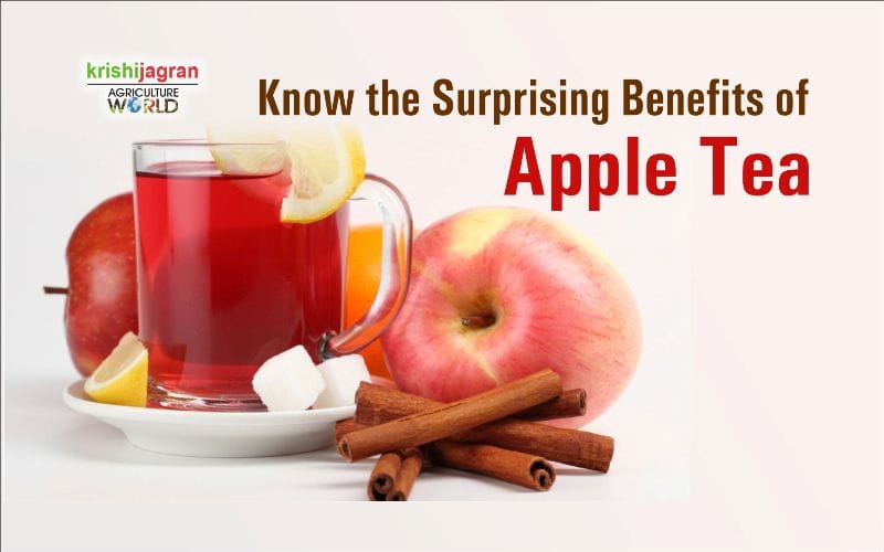 Benefits of Drinking Apple Tea and Why You Must Include it in Your ...