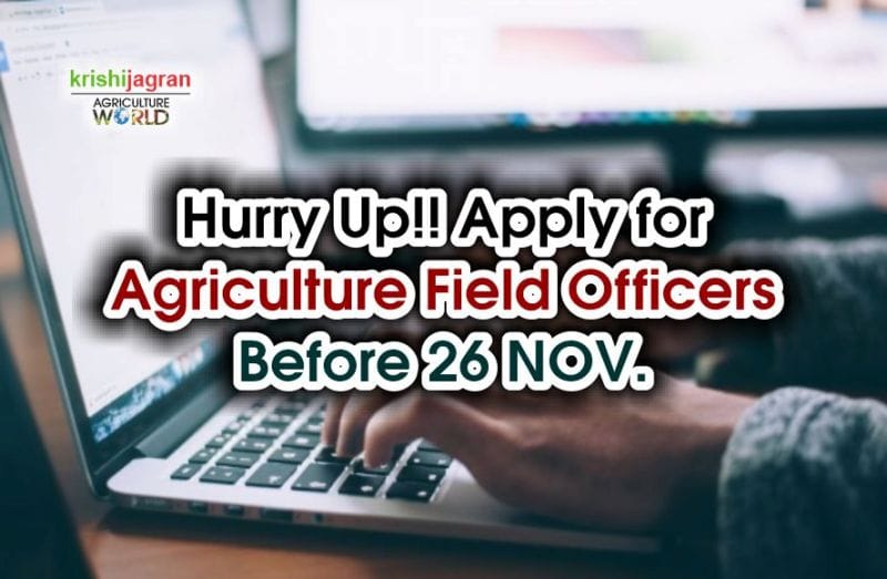 Latest Jobs: Apply for 670 Agriculture Field Officers Posts; Check Age ...