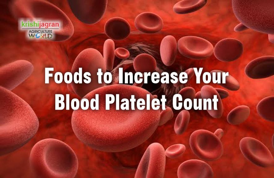 Suffering From Low Blood Platelet Count? 8 Foods that Increases Blood ...