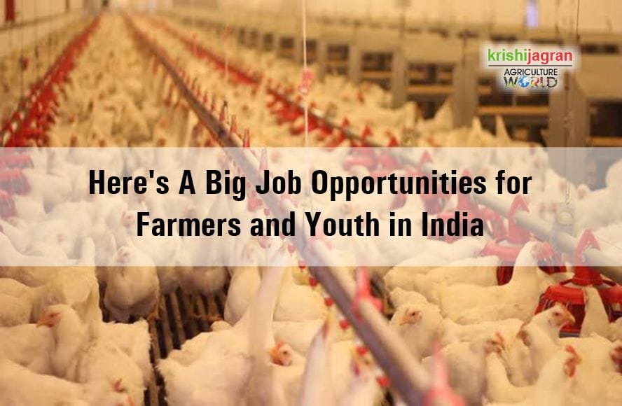 Huge Employment Opportunities for Youth and Farmers; IB Group to Start ...
