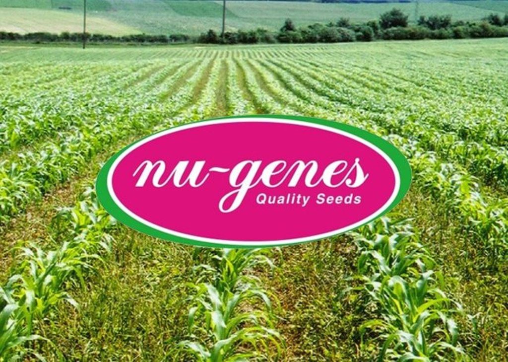 Agri-tech Start Up Nu Genes to raise $6 million from Innovation in Food ...