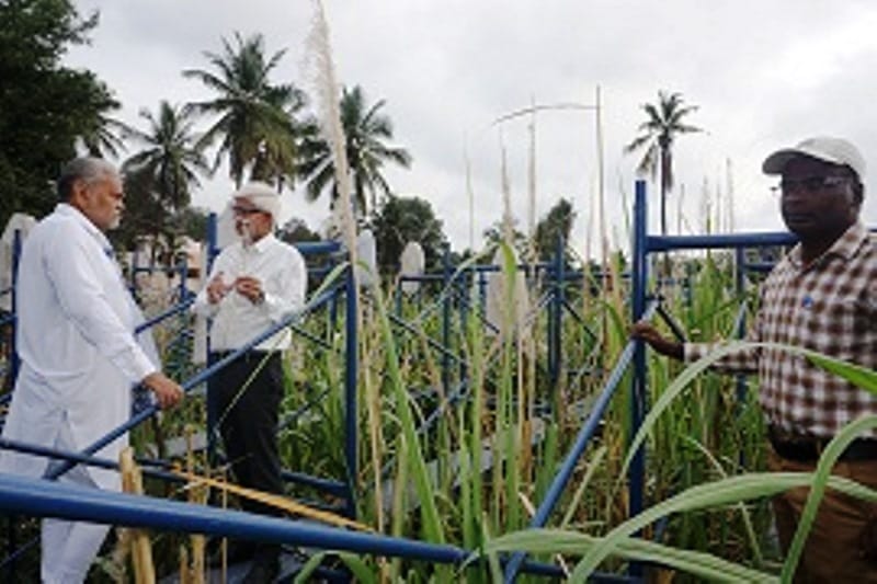 Agriculture Minister visits ICAR-Sugarcane Breeding Institute in Coimbatore
