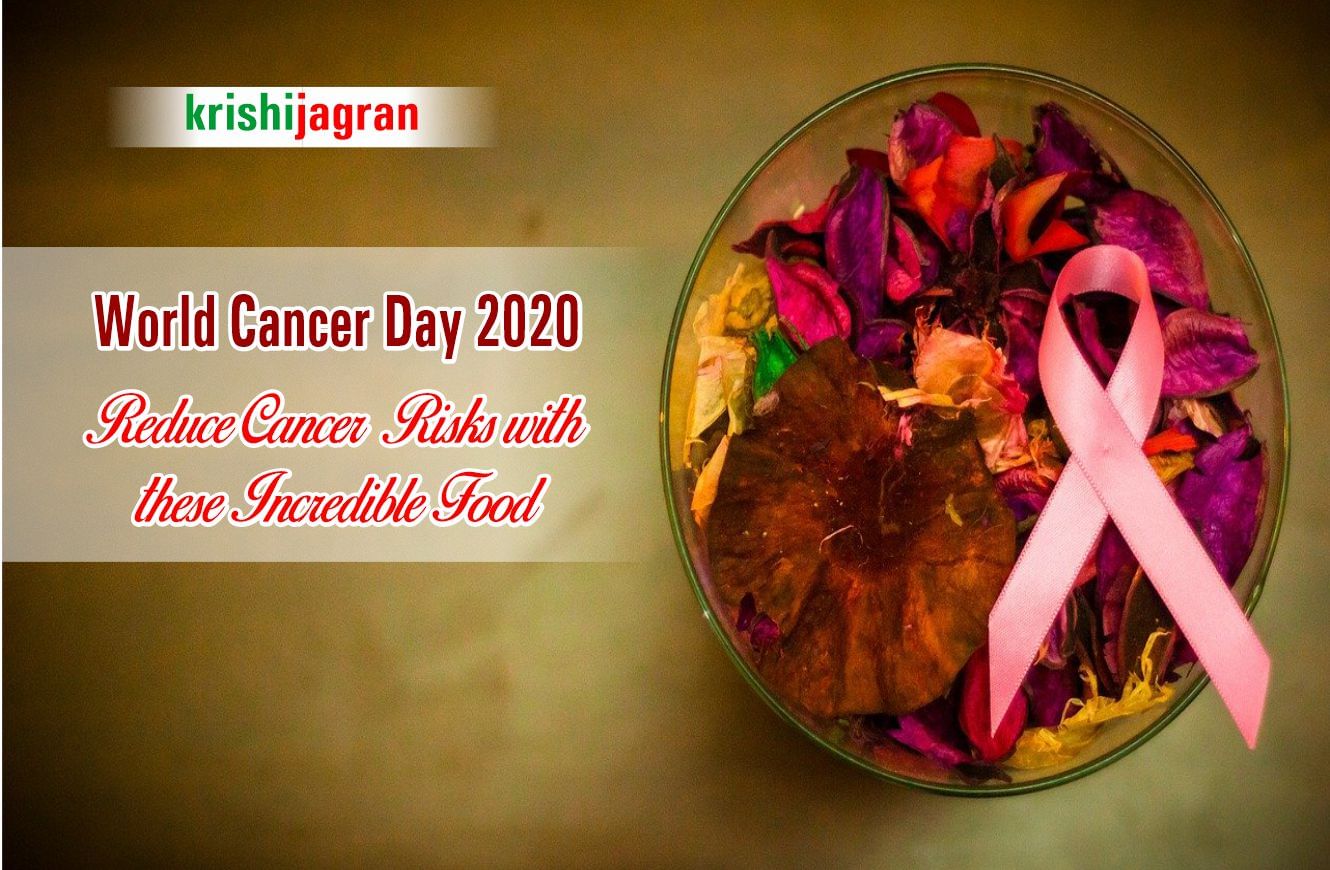 World Cancer Day 2020: Eating These Fruits & Vegetables Can Lower the ...