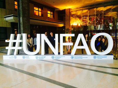 APPLY NOW, Openings available at UN-FAO