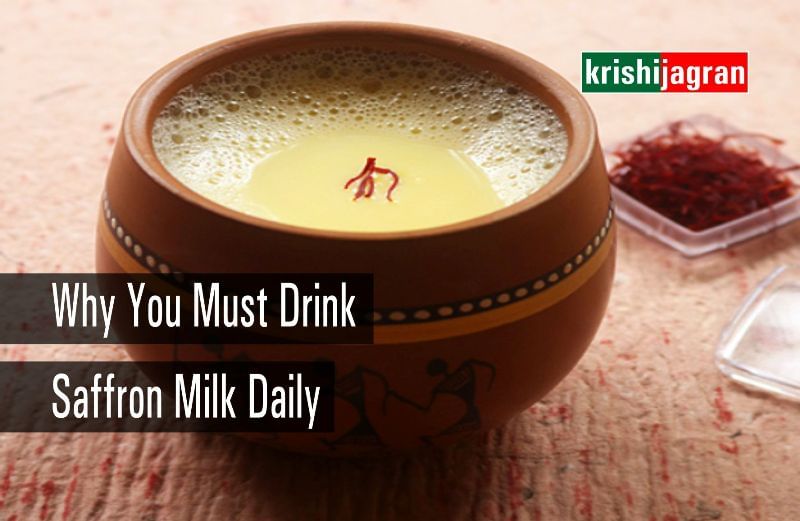 Saffron Milk Benefits: Reasons to Include Kesar Doodh in Your Diet ...