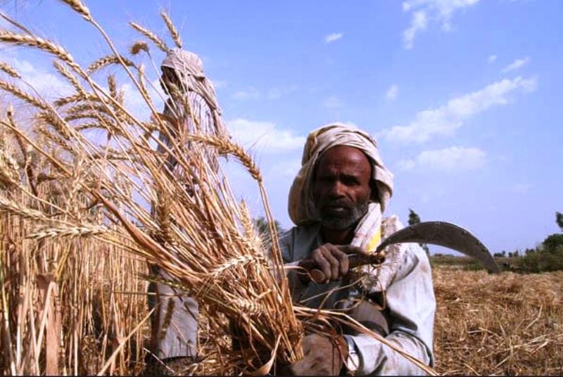 Center Take Measures to Ensure Smooth Harvesting of Rabi Crop and ...