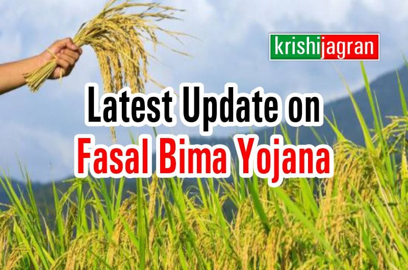 Fasal Bima Yojana: Rs. 300 Crores to be Transferred in Bank Accounts of ...