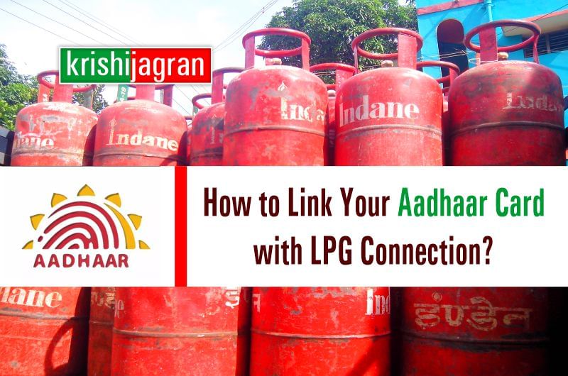 LATEST! Link Your Aadhaar Card with LPG Connection & Get Benefits of ...