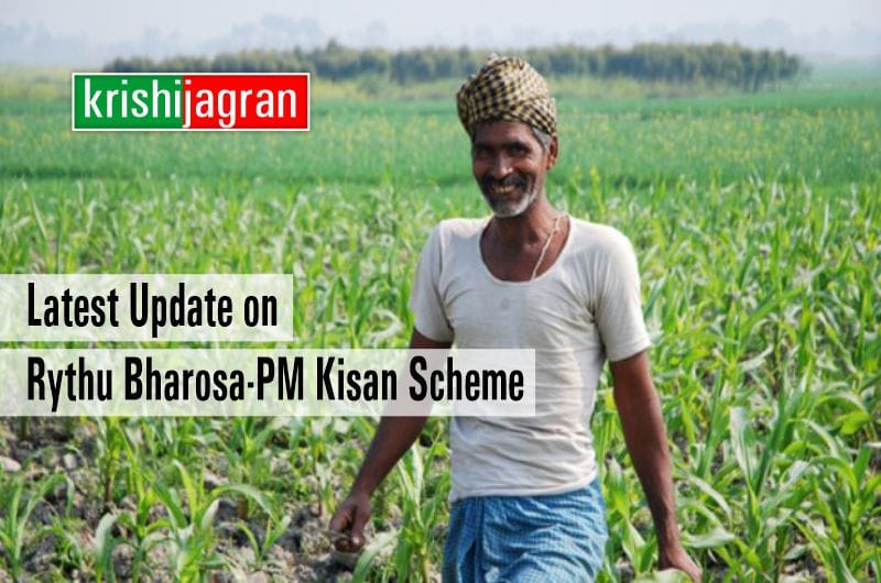 Rythu Bharosa Scheme: Farmers Will Get Rs 5500 Financial Assistance to ...
