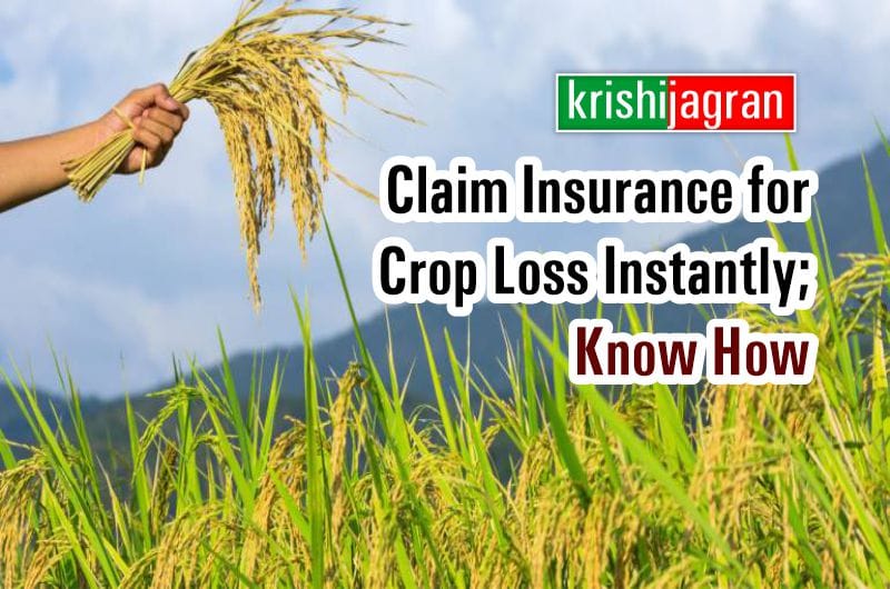 PM Fasal Bima Yojana : How Farmers can Claim Insurance for Crop Loss ...