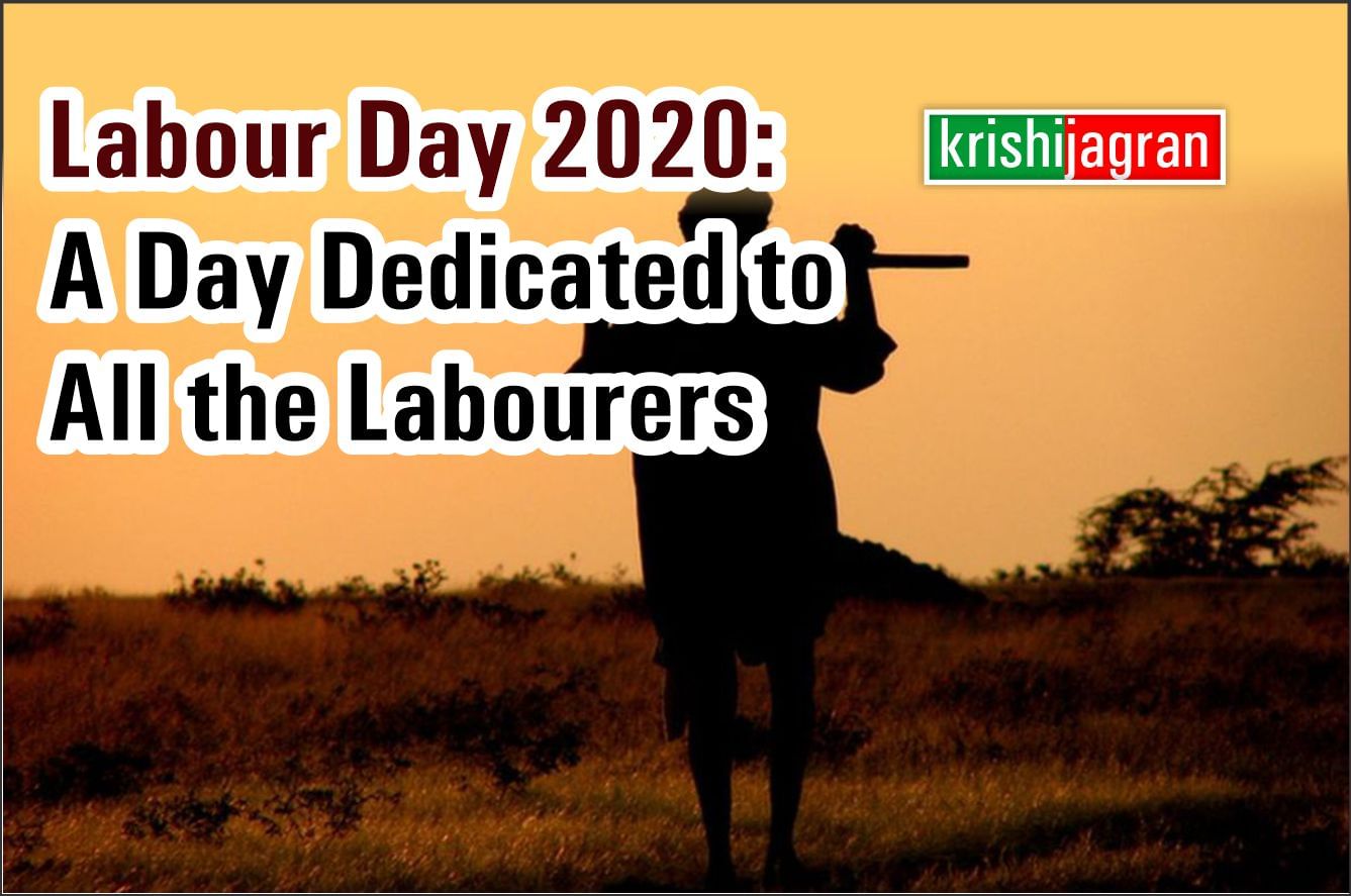 International Labour Day 2020: Socio-economic Condition of Agricultural ...