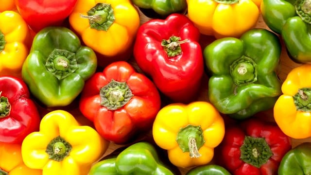 GUIDE : Capsicum – Production Technologies