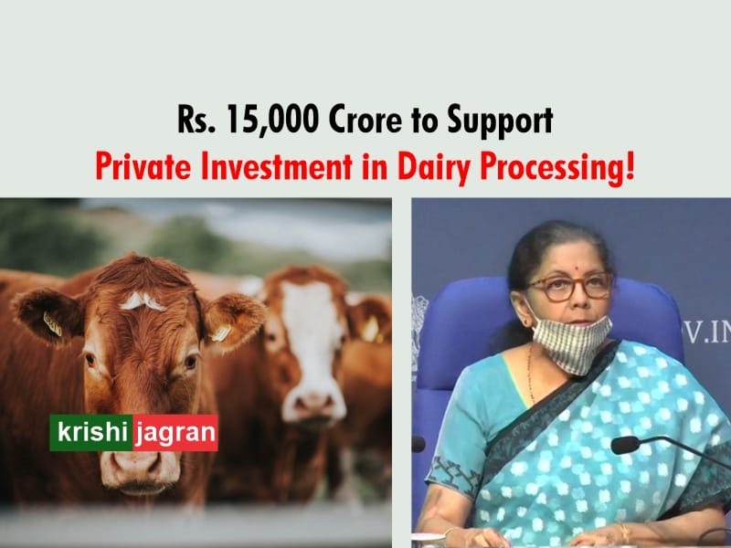 Animal Husbandry Infrastructure Development Fund: Rs. 15,000 crore to ...