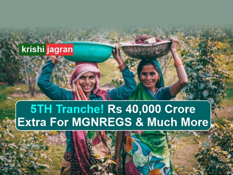 Big Highlights of 5th and Final Tranche of Rs 20 Lakh Crore Economic ...