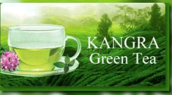 Kangra Tea to boost immunity against COVID-19