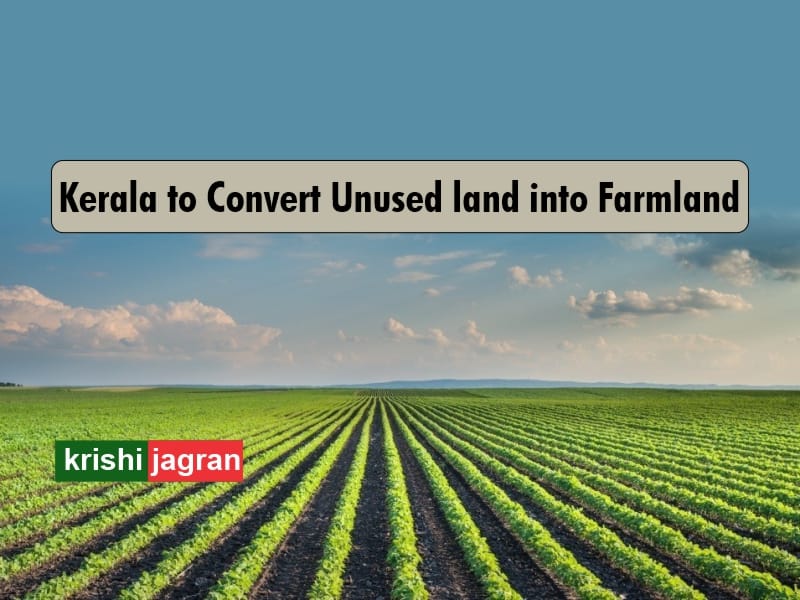 Kerala Agriculture Department to Convert Uncultivated Land into ...