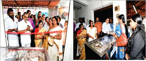 Mobile Fish Vending Kiosk with Modern, Hygienic & Refrigerated