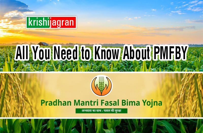 Pradhan Mantri Fasal Bima Yojana: Apply Before July 31st to Avail ...