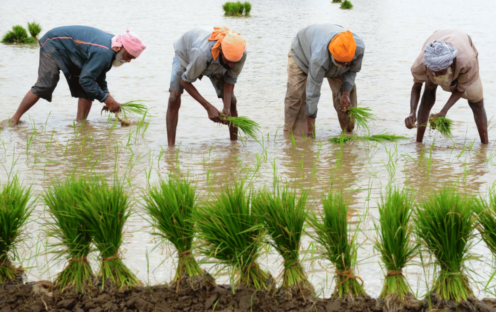 PM Kisan: Conditions Under Which Farmers Will Not Get Benefit of ...