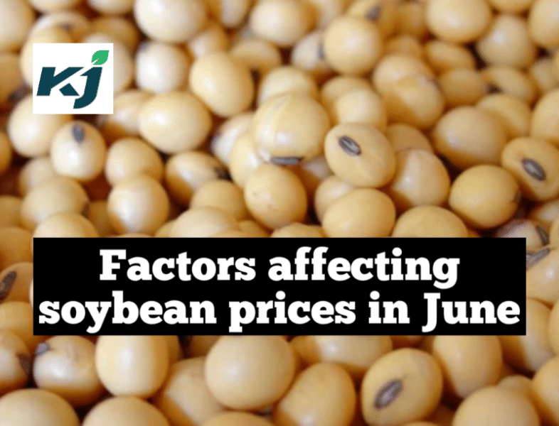 These Factors Will Be Influential for US & Indian Soybean Markets in June