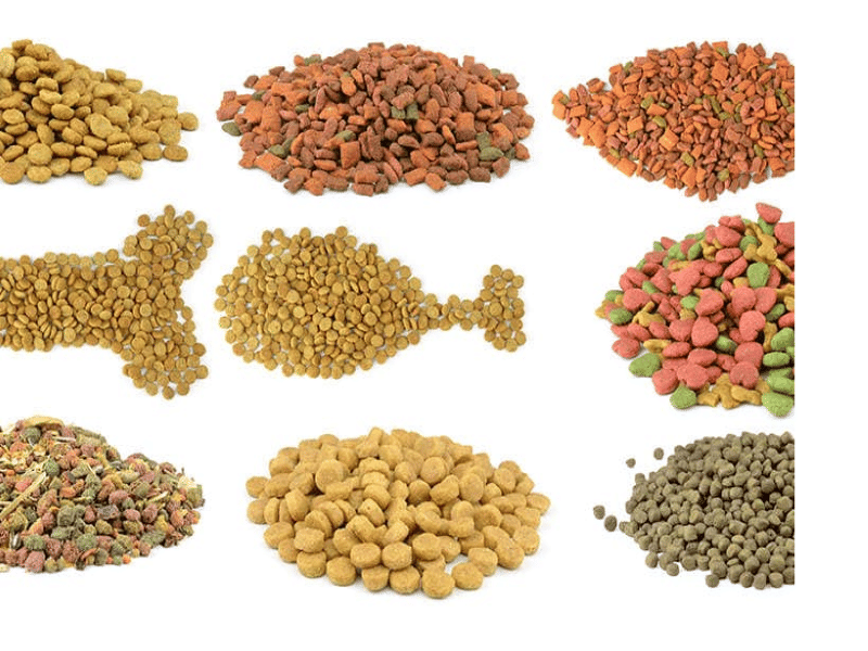 Balancing inadequate feedstuff supply through Non-Conventional Feed ...