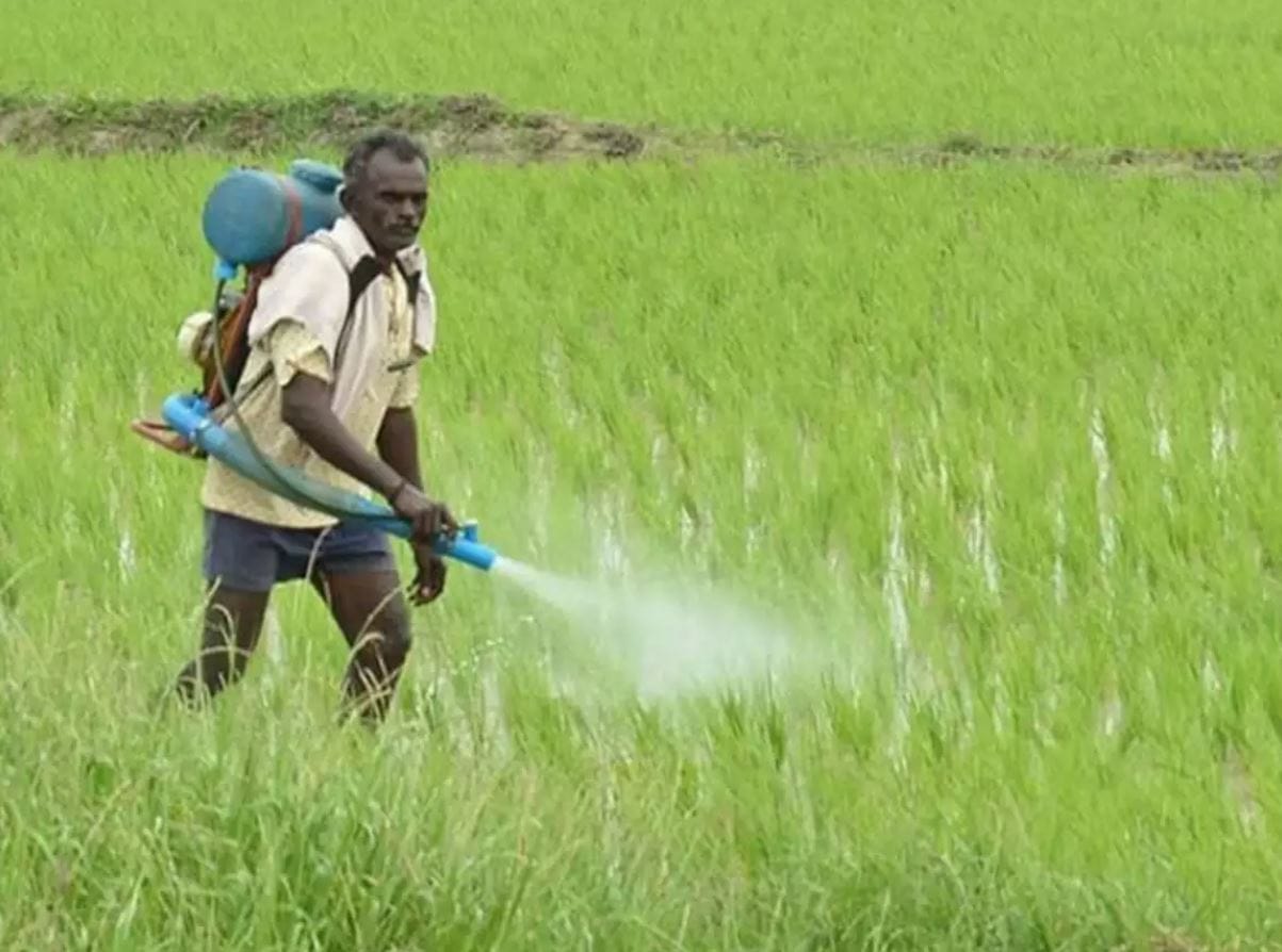 RCF has made Available Over 2 lakh MT of Imported Fertilizers for the ...