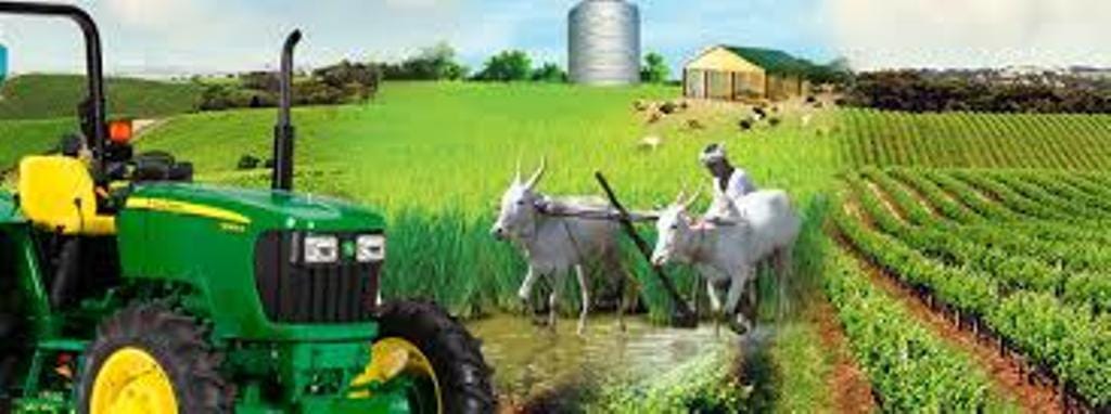 SBI is Offering Special Crop loan to Farmers, Interest Rate Only 4% ...