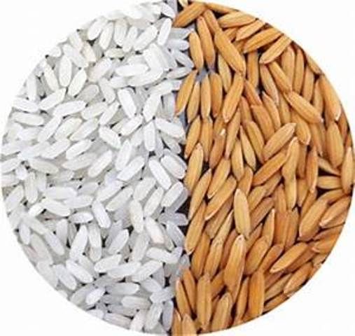 Package & practices of kharif crop - RICE