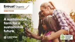 Corteva to Launch New Organic Insecticide ‘Entrust’
