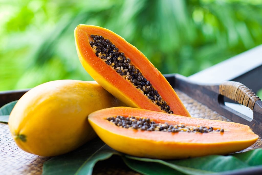 How Farmers can double their Income through Papaya Cultivation?