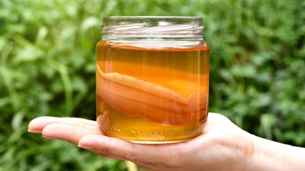 Kombucha Tea: Top 8 Health Benefits of This Super Drink and Much More